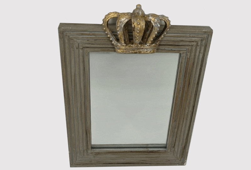 Crown Mirror – Humanity for Horses